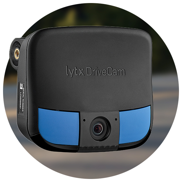 Clintel | ReillyScott